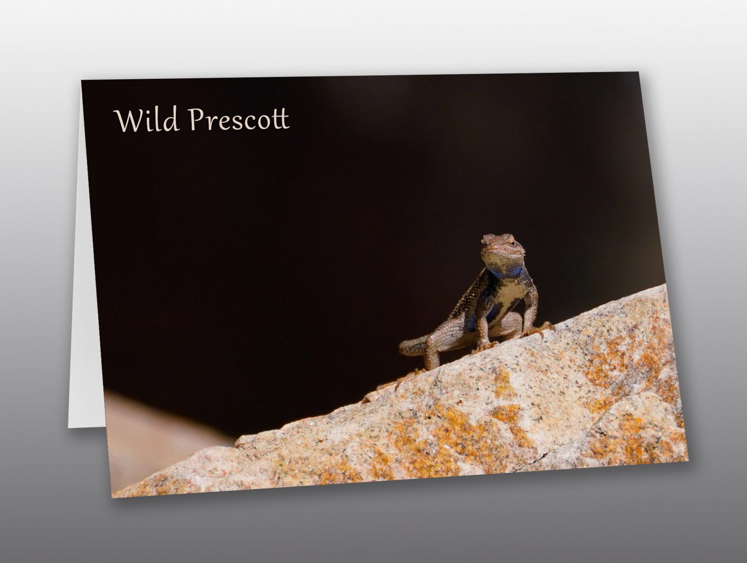 Reptiles – Clark’s Spiny Lizard – Greeting Card – Moment of Perception ...