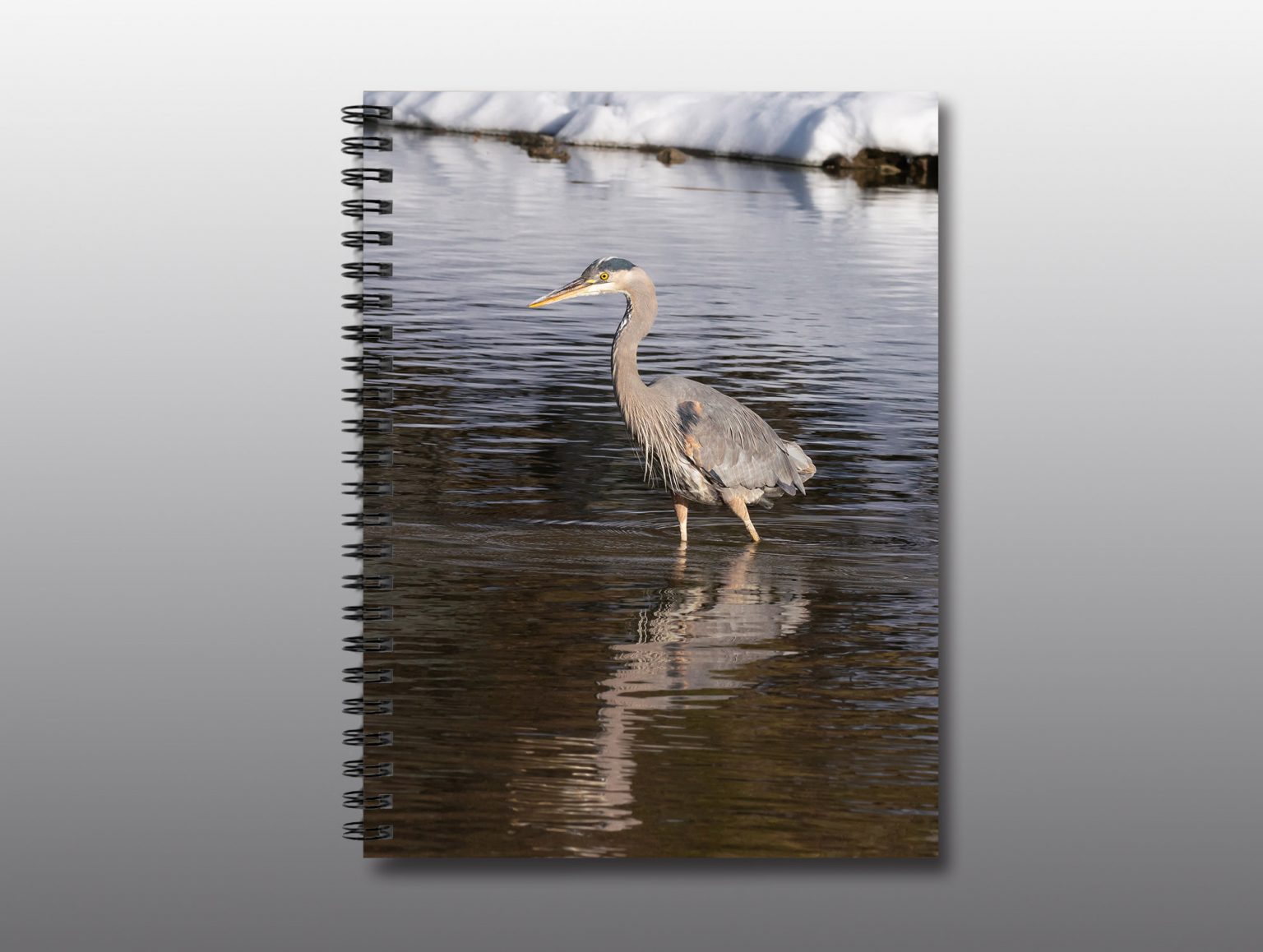 Spiral Notebook – Great Blue Heron Wading in a Winter Lake – Moment of ...
