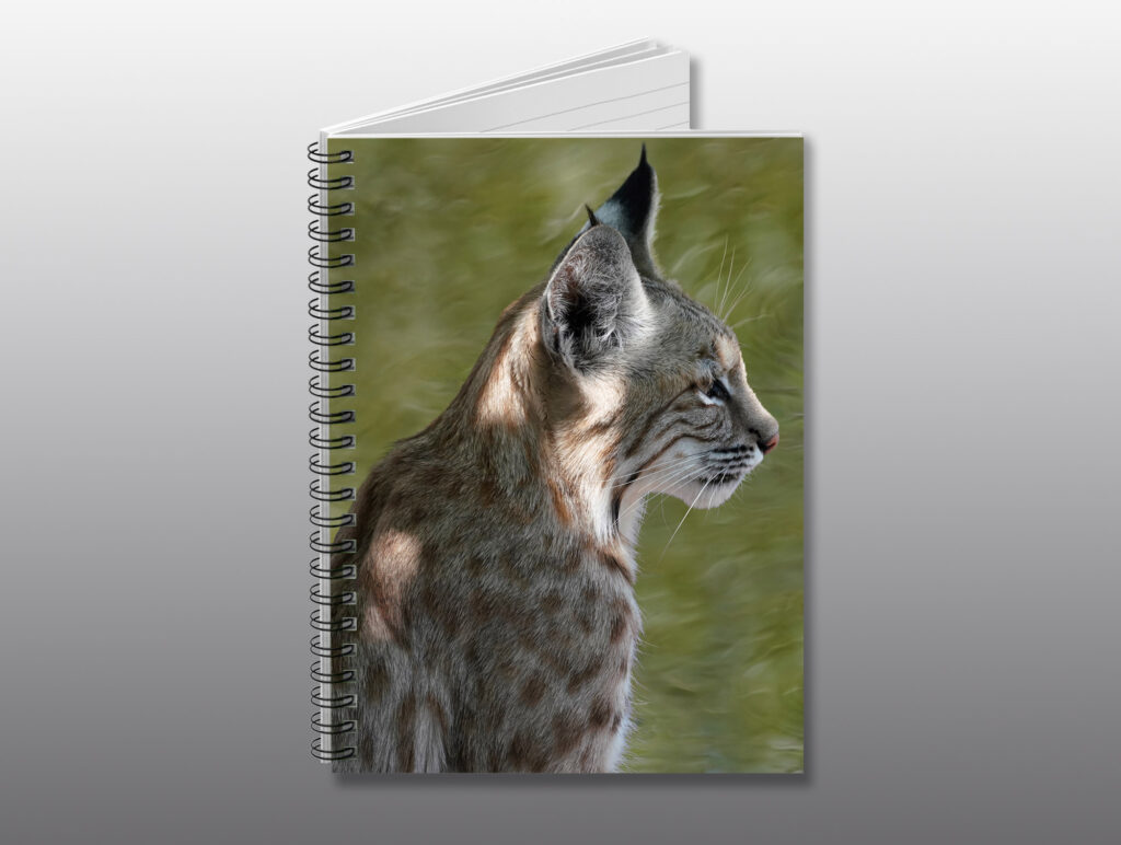 Spiral Notebook – Portrait of a Bobcat – Moment of Perception Photography