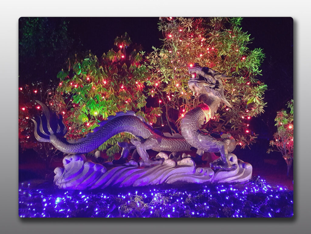 Glass Cutting Board – Holiday Dragon – Moment of Perception Photography