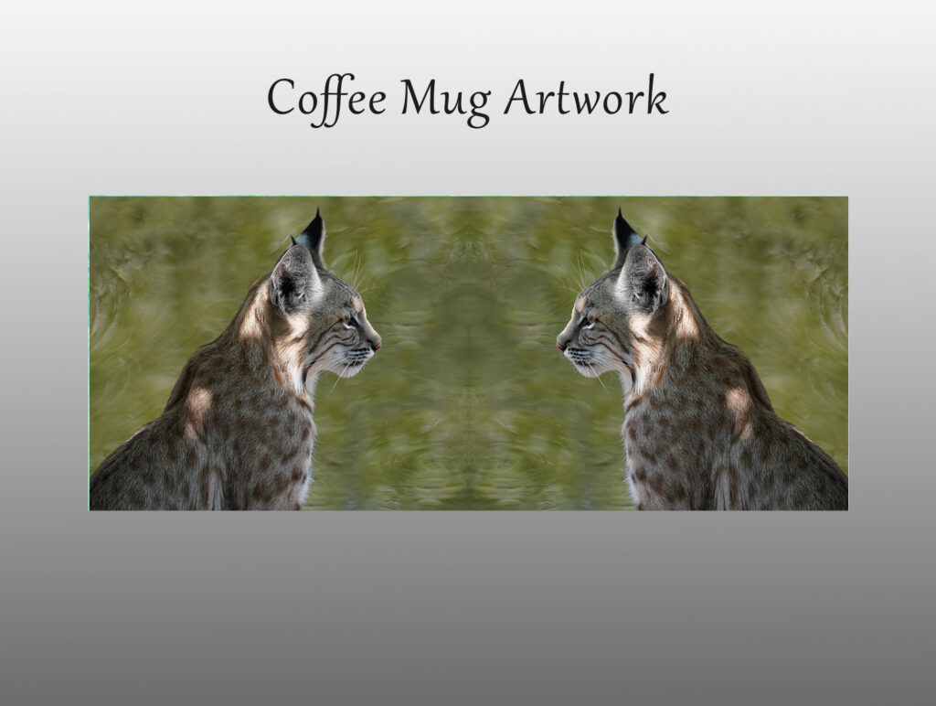Coffee Mugs – Portrait of a Bobcat – Moment of Perception Photography