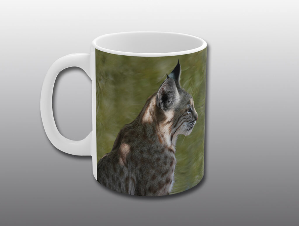 Coffee Mugs – Portrait of a Bobcat – Moment of Perception Photography
