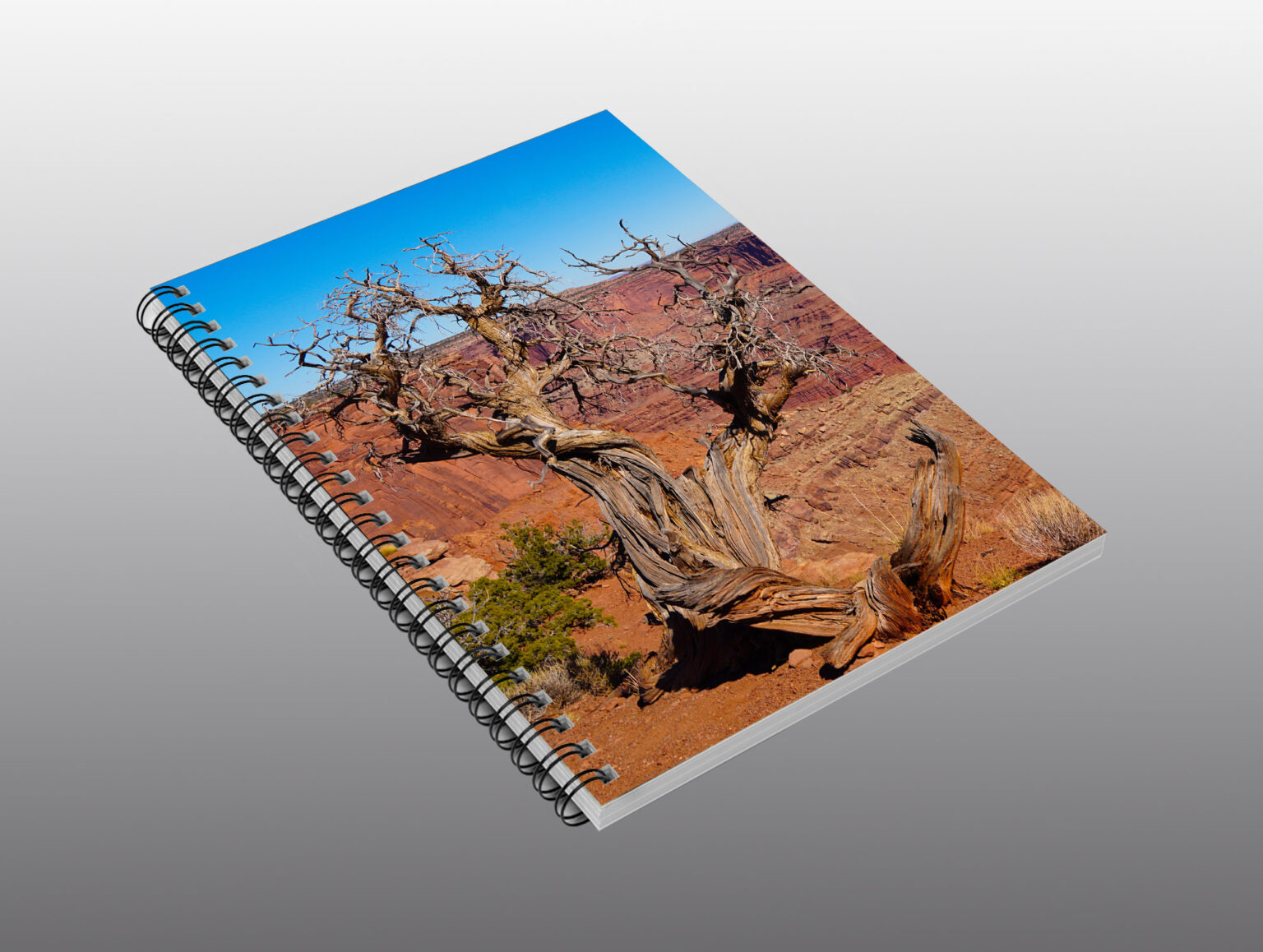 Spiral Notebook – Natural Tree Art in Utah – Moment of Perception ...