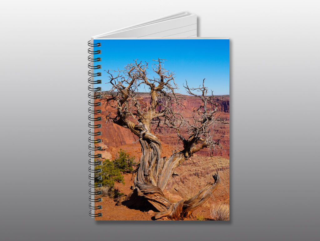 Spiral Notebook – Natural Tree Art in Utah – Moment of Perception ...
