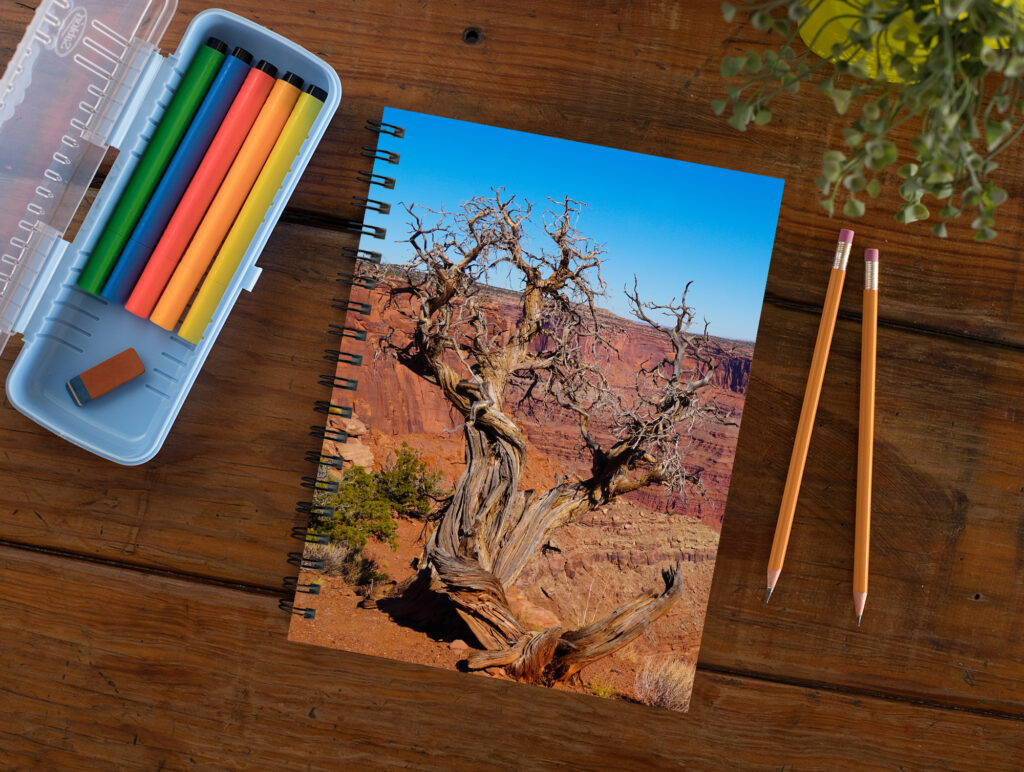 Spiral Notebook – Natural Tree Art in Utah – Moment of Perception ...