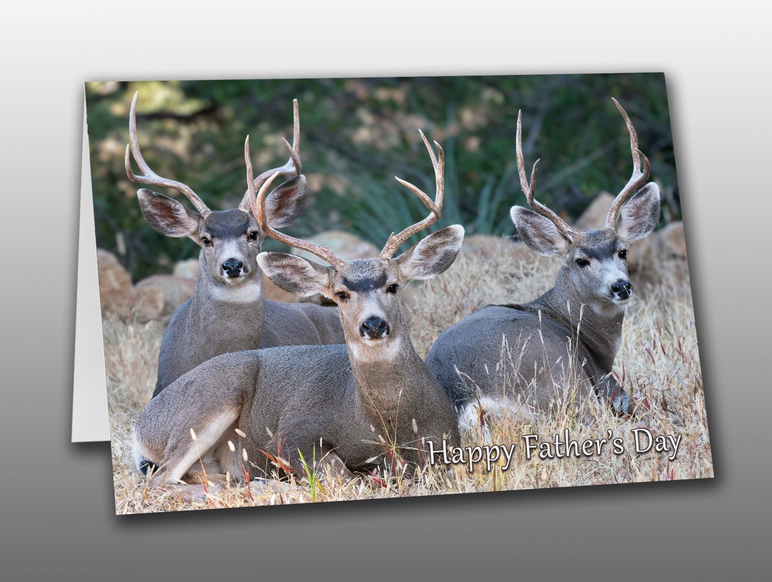 Three Bucks – Fathers Day Card – Moment of Perception Photography